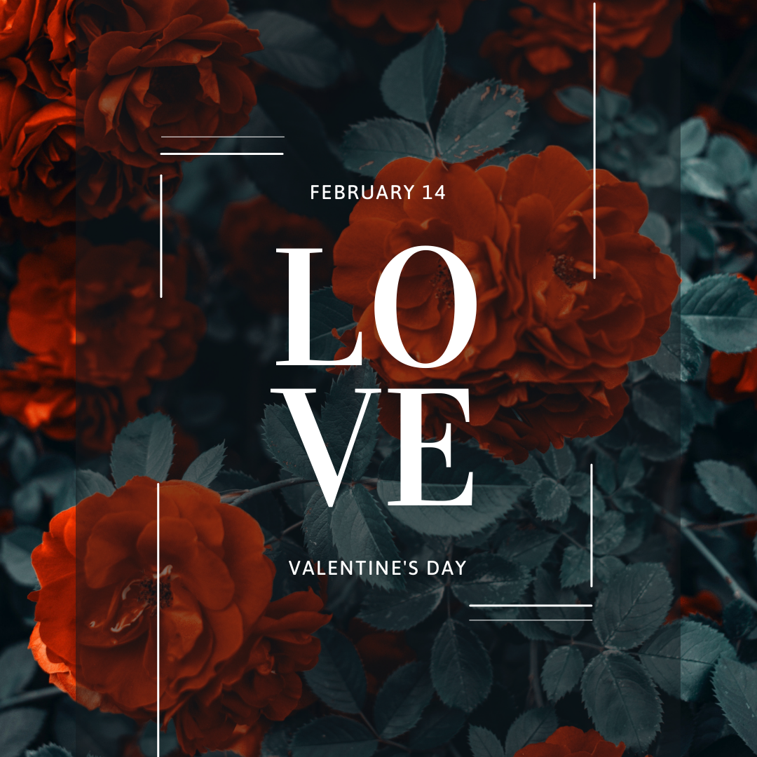 Valentine’s Day: A Celebration of Love in All Forms – MrsDeveter